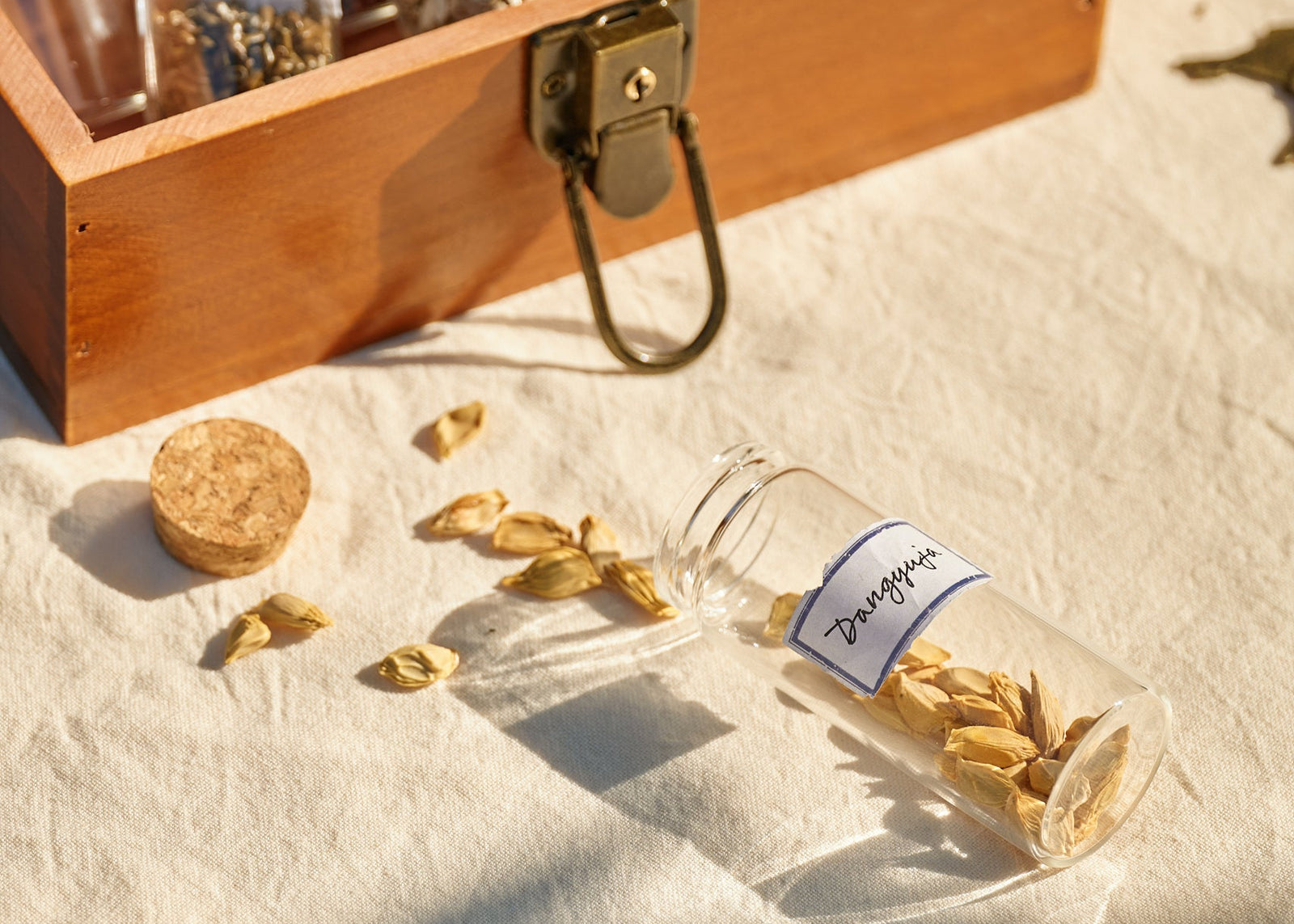 DEARDOT STORY – Deardot.